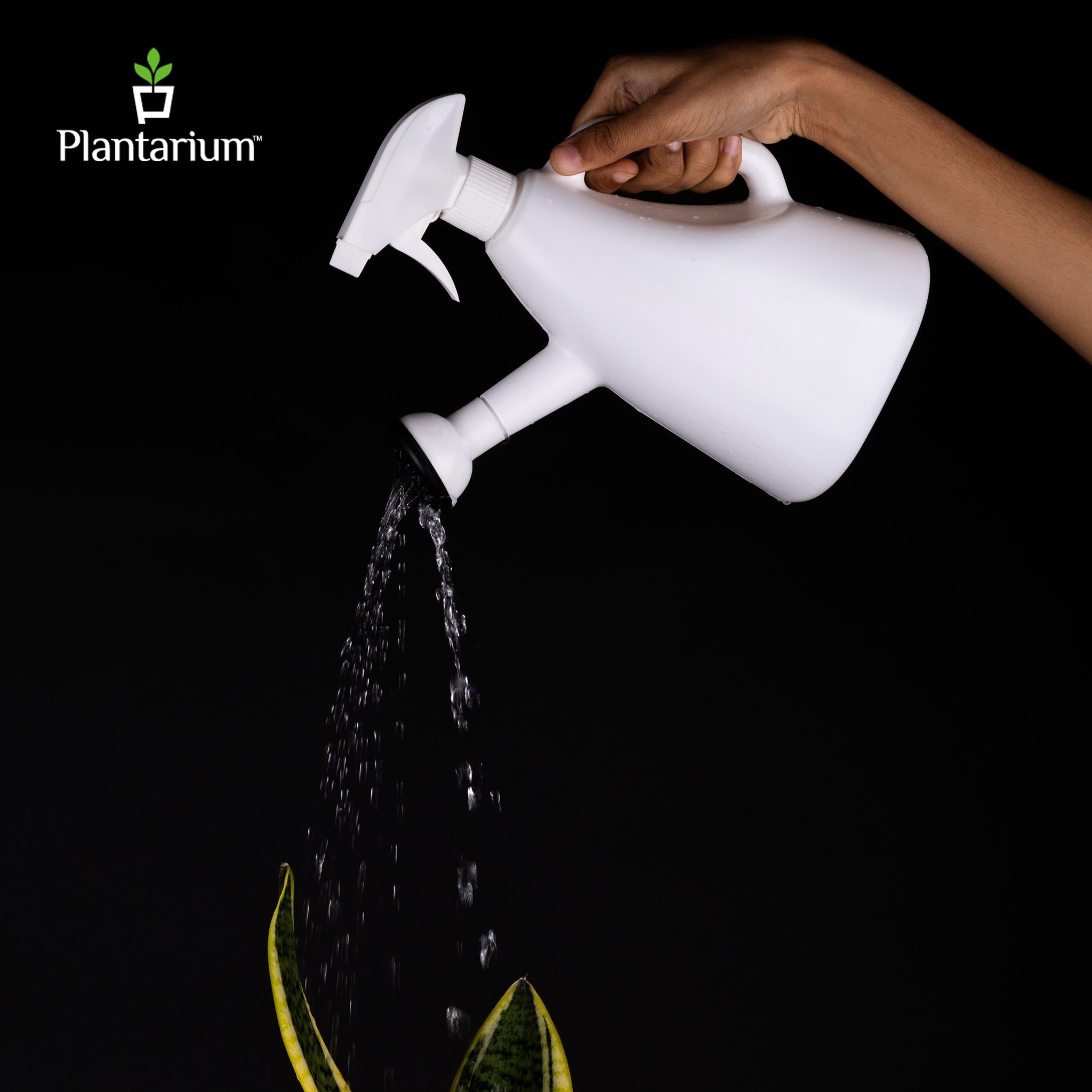 PVC 5225 SPRAYING CUM WATERING CAN – Sacred Needs