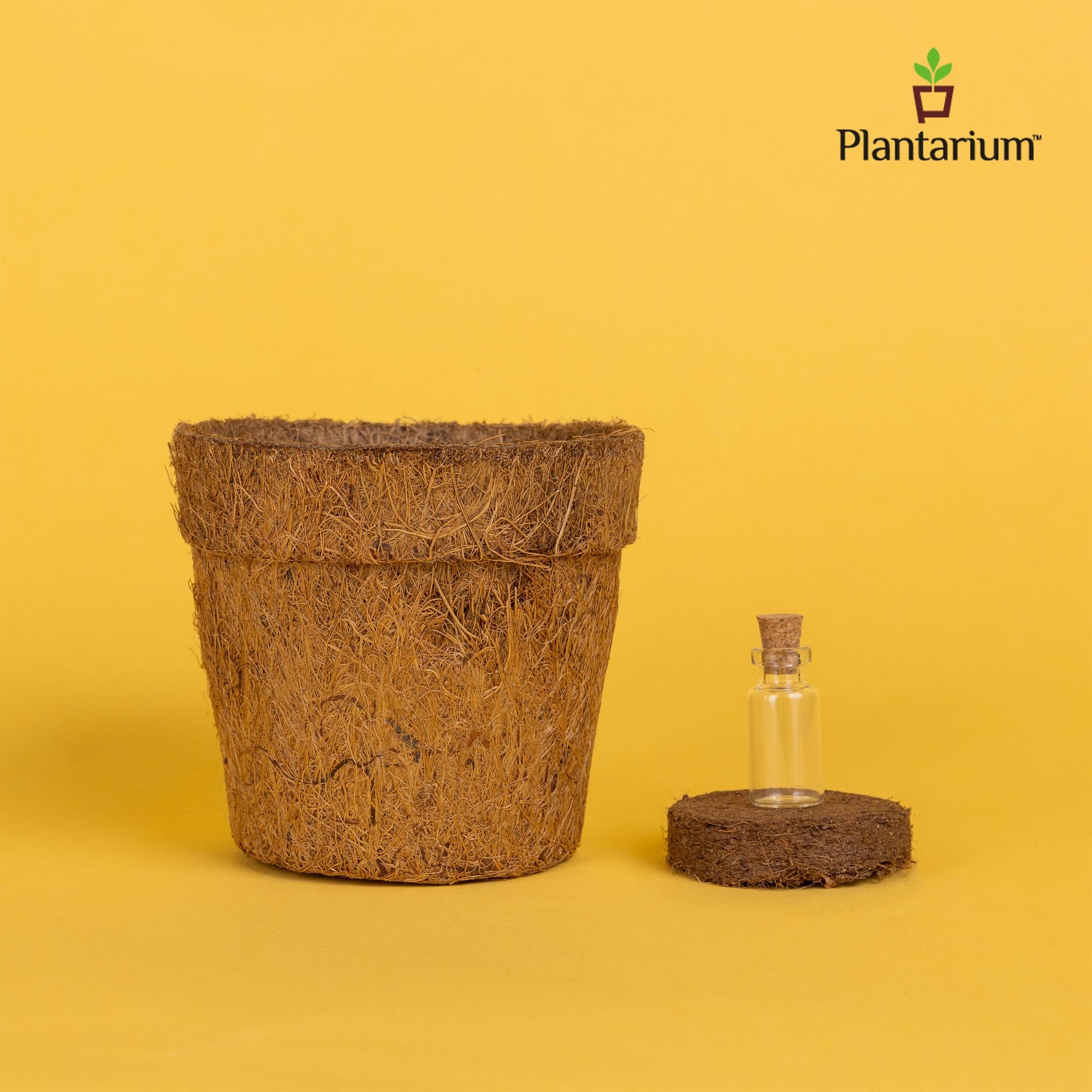 Coir Pot and Coin Grow Kit Set – Complete Gardening Kit for Growing Pl ...