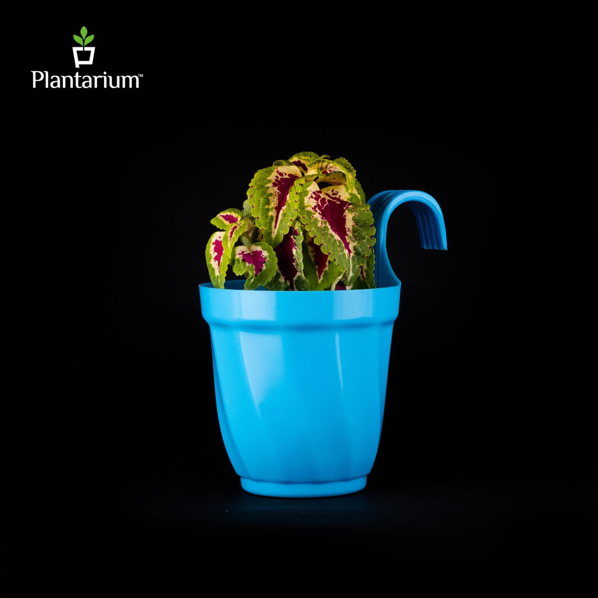 PVC 665 Lotus Pot Mounted – 9 Inch Height | Decorative Plastic Planter ...
