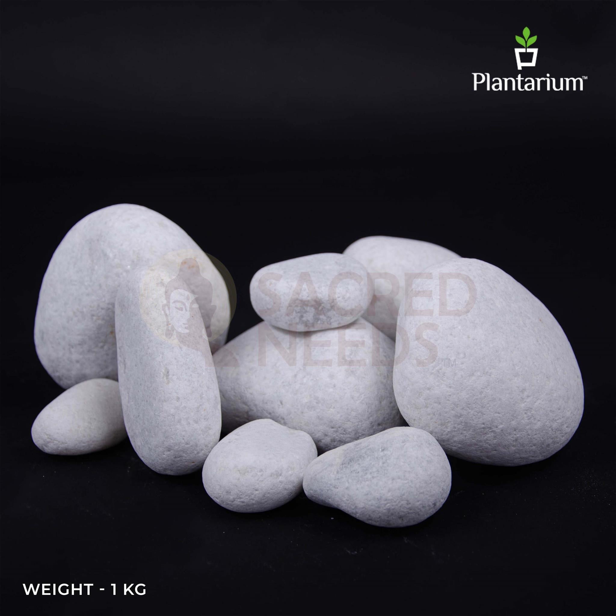 White Rough Stones | Raw Decorative Stones for Vases, Feng Shui & Gard ...